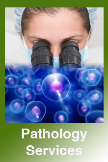 BIOTECH CLINICAL LABORATORY - Full Medical Laboratory Services in Florida